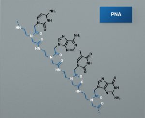 Custom PNA synthesis - DESTINA